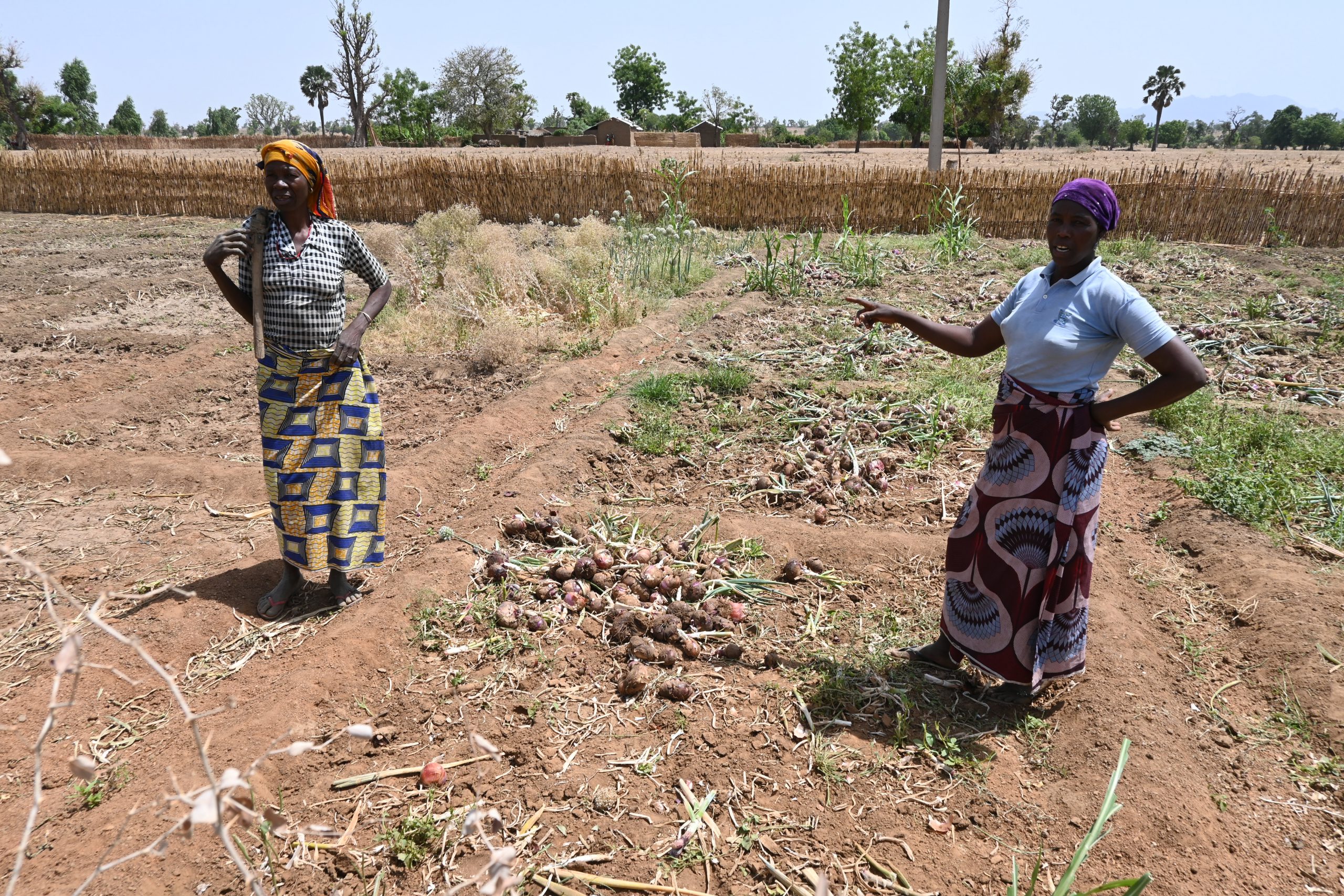 Nigerian Women Working
