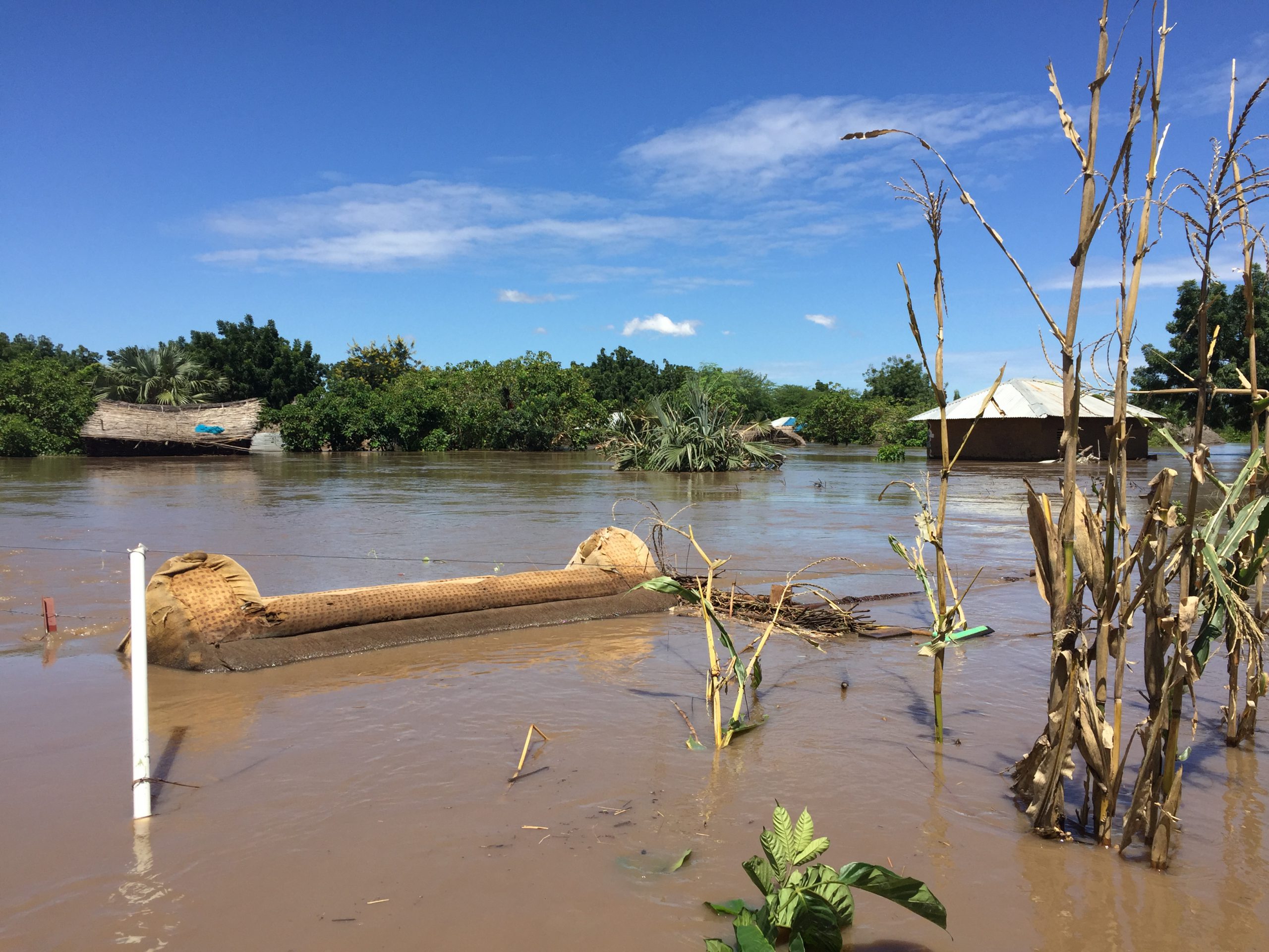 Four years of continued flooding in Maban - JRS USA